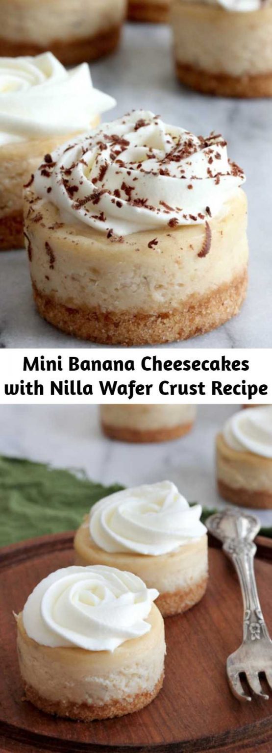 Mini Banana Cheesecakes with Nilla Wafer Crust Recipe - 9am Chef
