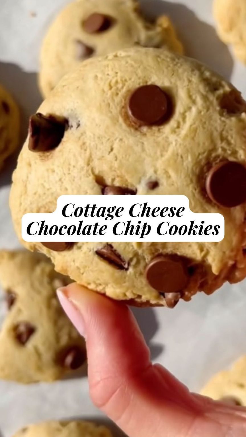 Cottage Cheese Chocolate Chip Cookies - 9am Chef