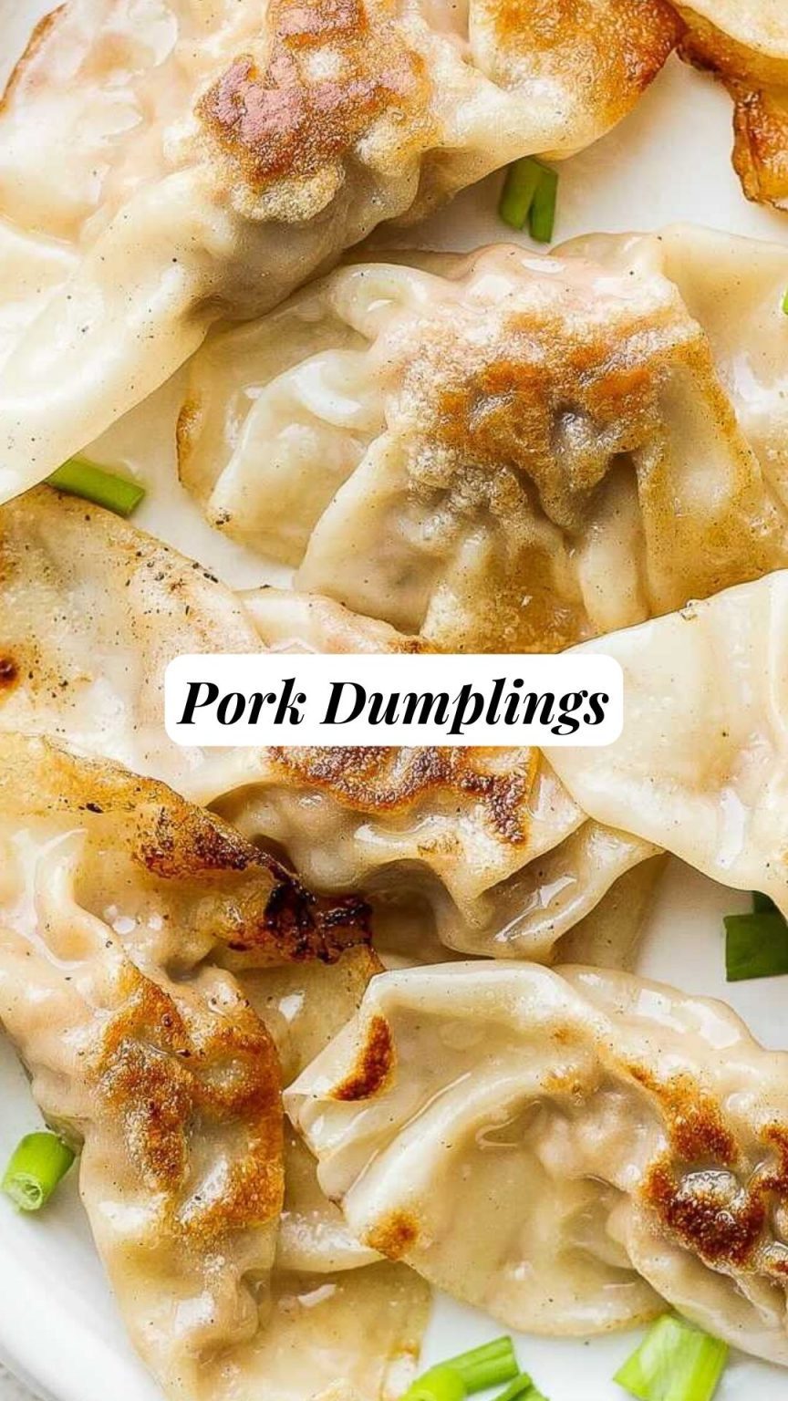 Pork Dumplings - 9am Chef