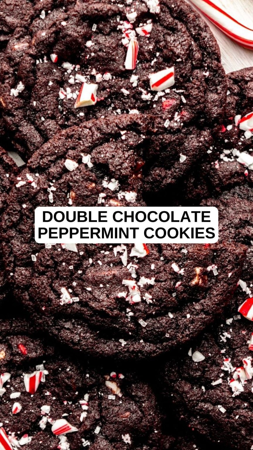 Double Chocolate Peppermint Cookies - 9am Chef